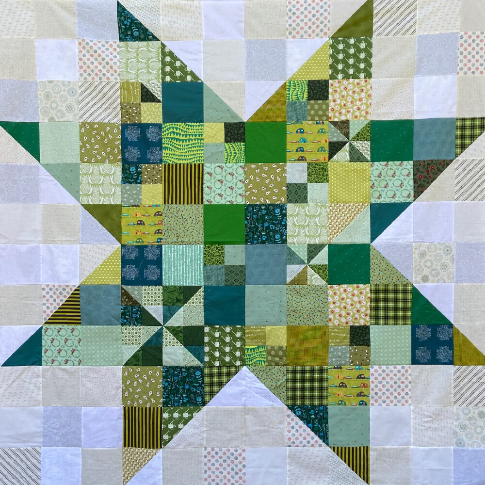 Explore The Power of Value in One Color Quilts - Aunt Ems Quilts