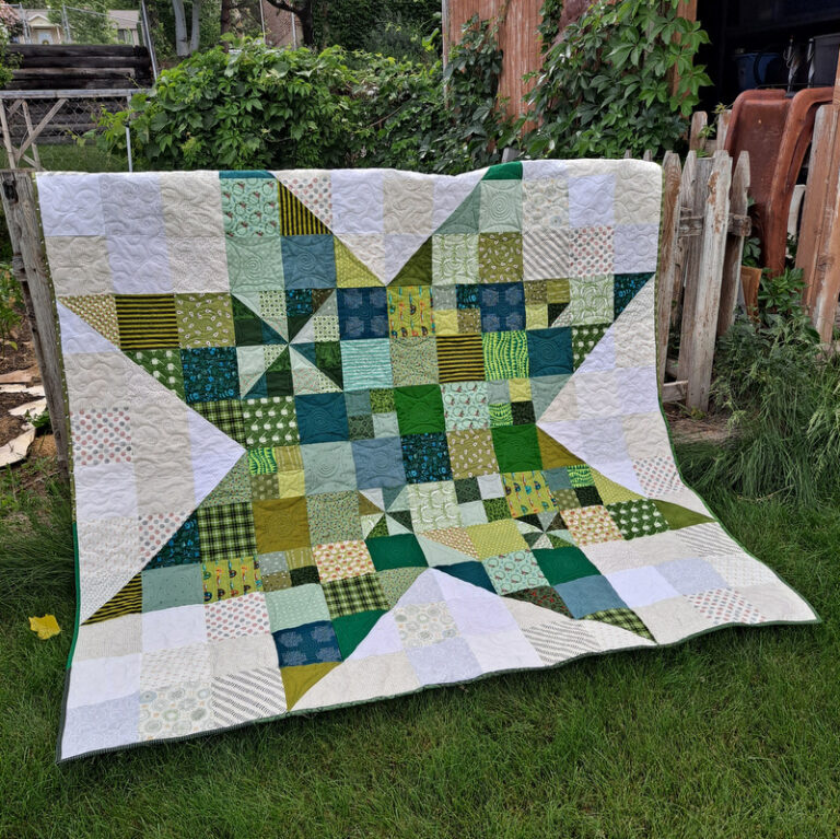 Explore The Power of Value in One Color Quilts - Aunt Ems Quilts