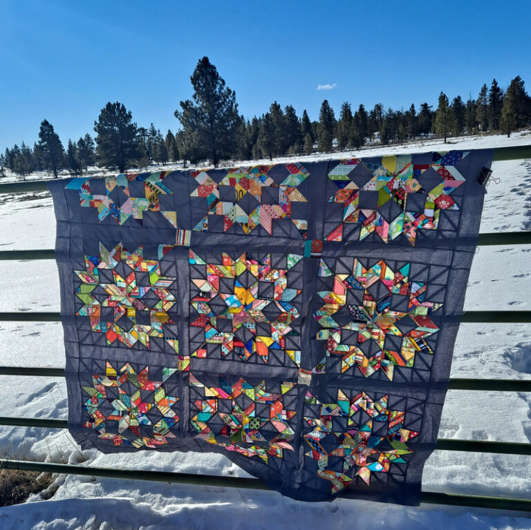 How to Use Crumb Fabric with Your Accquilt Go - Aunt Ems Quilts